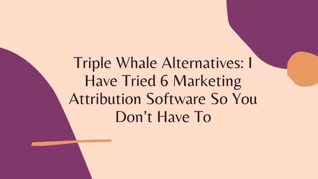 Triple Whale Alternatives: I Have Tried 6 Marketing Attribution Software So You Don’t Have To